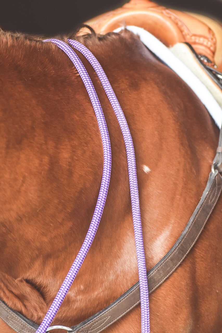Rope Split Reins – Drovers Saddlery