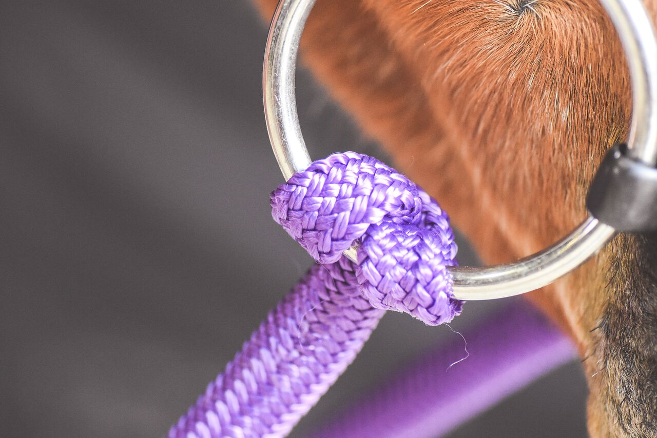 Rope Split Reins – Drovers Saddlery